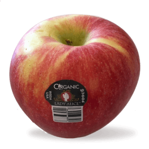 Lady Alice Apple Review - Apple Rankings by The Appleist Brian Frange