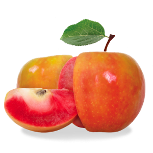 Lucy Glo Apple Review - Apple Rankings by The Appleist Brian Frange