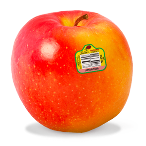 Ambrosia Apple Review - Apple Rankings by The Appleist Brian Frange