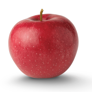 Rome Apple Review - Apple Rankings by The Appleist Brian Frange