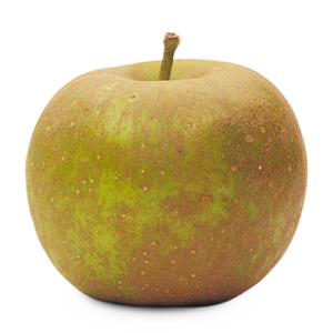 Golden Russet Apple Review - Apple Rankings by The Appleist Brian Frange