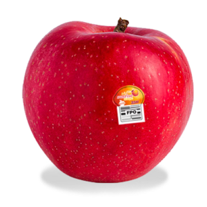 Sunrise Magic Apple Review - Apple Rankings by The Appleist Brian Frange