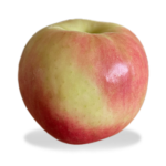 Zestar! Apple Review - Apple Rankings by The Appleist Brian Frange